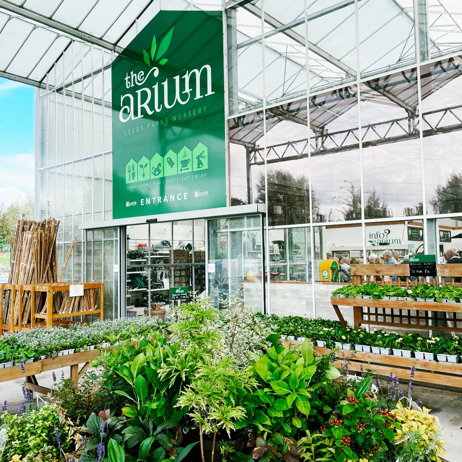 Yorkshire-Grown Christmas Trees Have Arrived at The Arium ⋆ Leeds Star